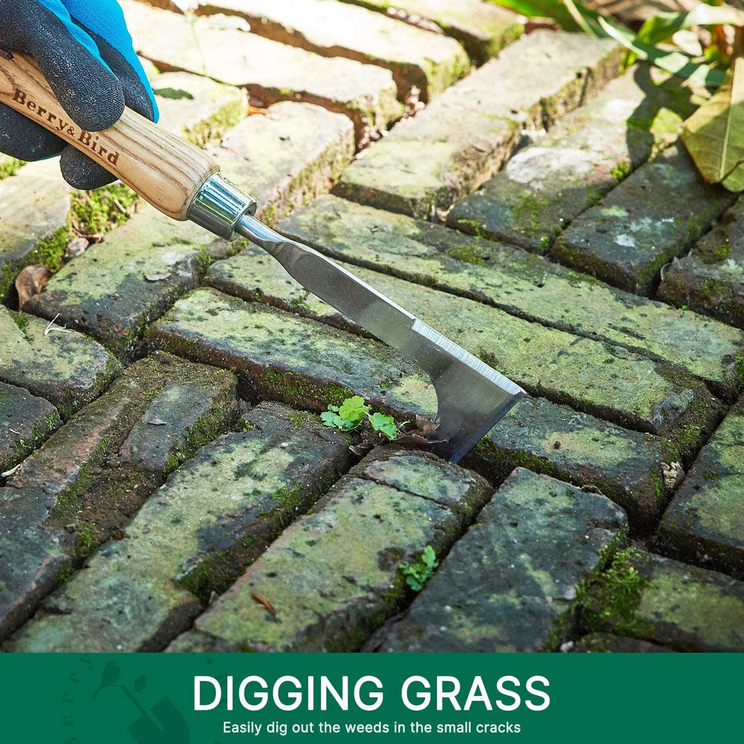 Weeding Tools – BerryandBird