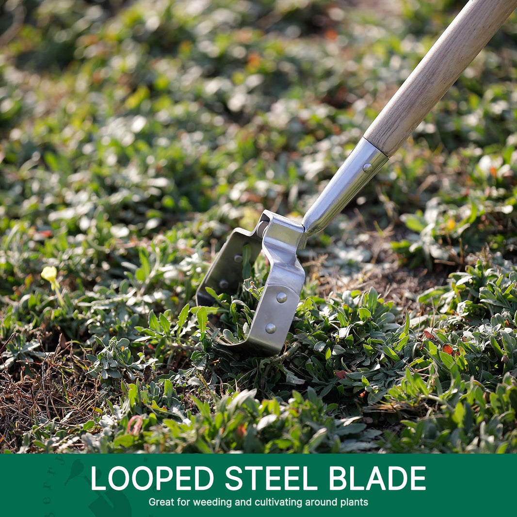 Long Handled Tools – BerryandBird