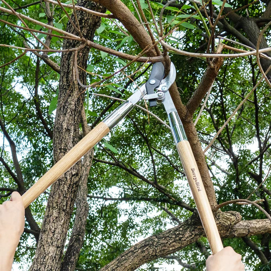 Garden tools & gardening supplies for keen gardeners | Berry&Bird ...