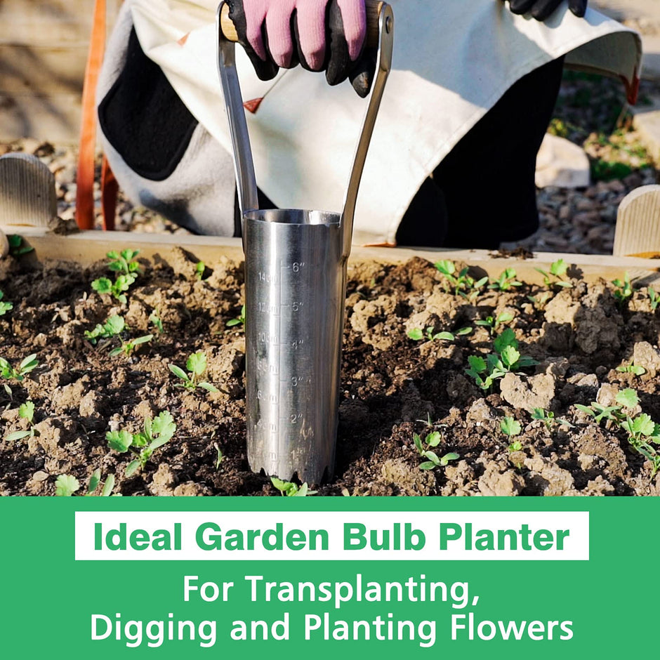 Garden tools & gardening supplies for keen gardeners | Berry&Bird ...